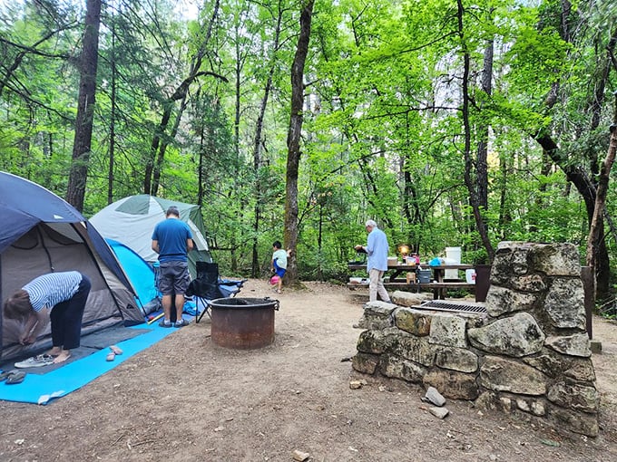 Camping among towering pines with stone fire rings that have hosted s'mores sessions for generations. Nature's five-star accommodations, minus the turndown service.