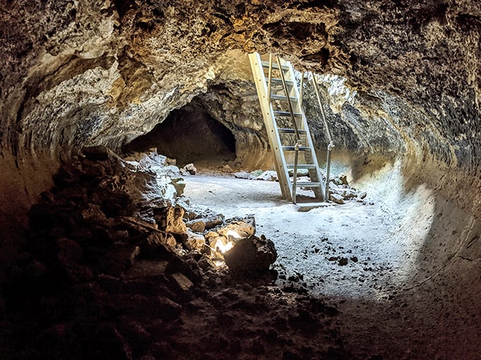 Underground adventures await in lava tube caves – nature's original subway system, minus the mysterious puddles and questionable smells.