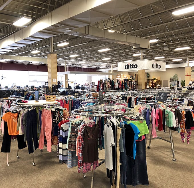 Clothing racks organized by color create a rainbow effect that makes browsing feel less like work and more like a scavenger hunt.