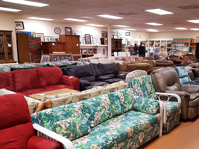 Step right up—rows of cozy couches stretch like a buffet of comfort waiting to be sampled.