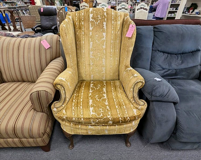 The throne room of thrift royalty. That golden wingback chair isn't just furniture—it's a conversation piece with tenure.