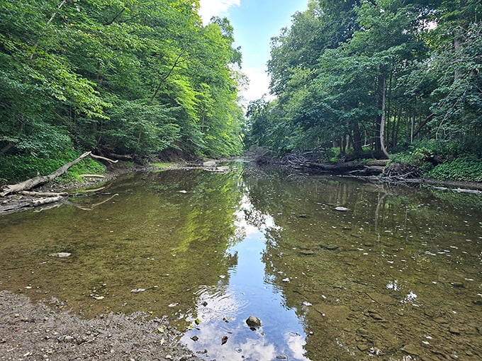 The Sandusky River offers peaceful moments of reflection just minutes from downtown, where nature reclaims its space in this otherwise human landscape.