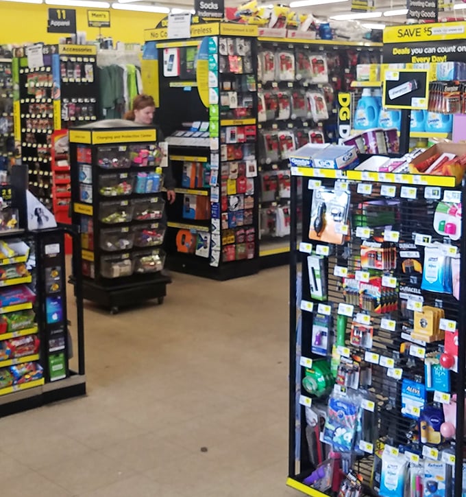 The health and beauty section offers a fascinating study in brand alternatives—same results, fewer dollars spent.