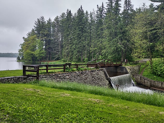 The stone dam creates a gentle waterfall, nature's version of a spa soundtrack that doesn't require a subscription or annoying ads.