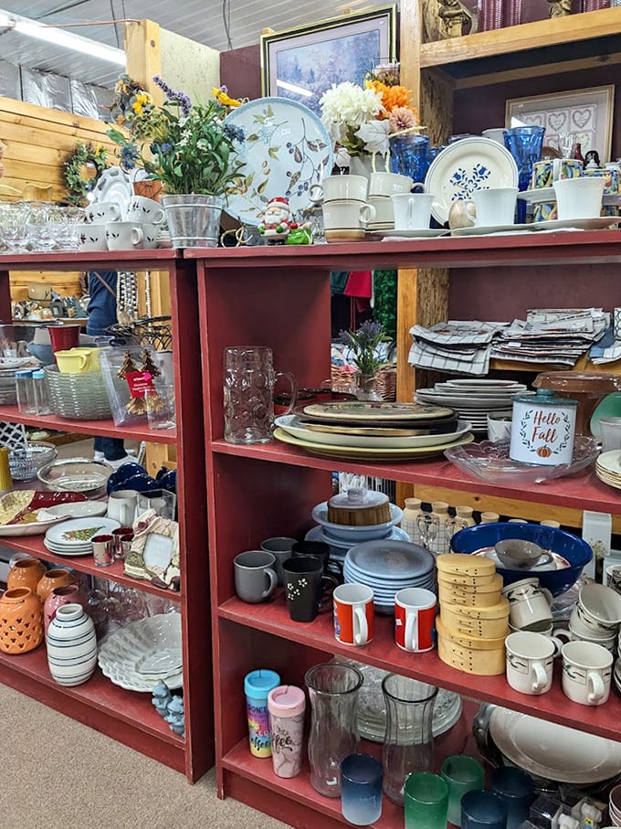 These shelves tell stories through dishware—each plate, mug, and bowl waiting for a second chance to host family dinners and midnight snacks.