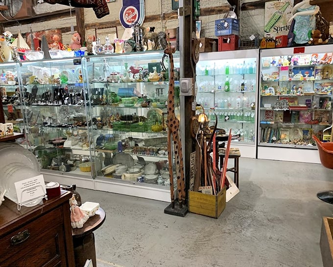 Glass cases protecting fragile memories—each shelf a museum where you're allowed to take the exhibits home.