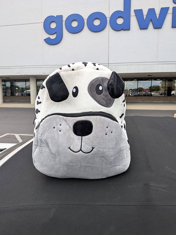 Even canine companions get the secondhand treatment! This dalmatian backpack proves one shopper's "too cute to use" is another's perfect find.