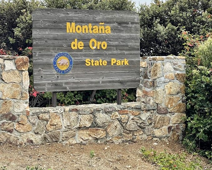 The entrance sign promises gold, and Montaña de Oro delivers—though its treasures come in sunsets, wildflowers, and memories rather than precious metals.