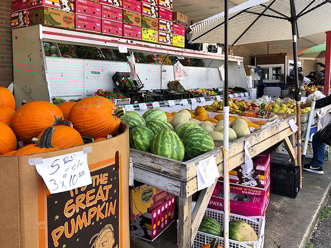 Farm-fresh finds that put supermarket produce to shame. Those pumpkins aren't just decorative—they're autumn's ambassadors.