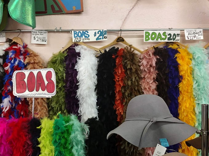 Feather boas in every hue imaginable—because sometimes your outfit just needs that extra bit of Liberace energy.