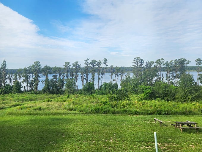 Room with a view, Florida-style. The gentle slope from cabin sites to Lake Louisa offers a front-row seat to nature's daily watercolor show.