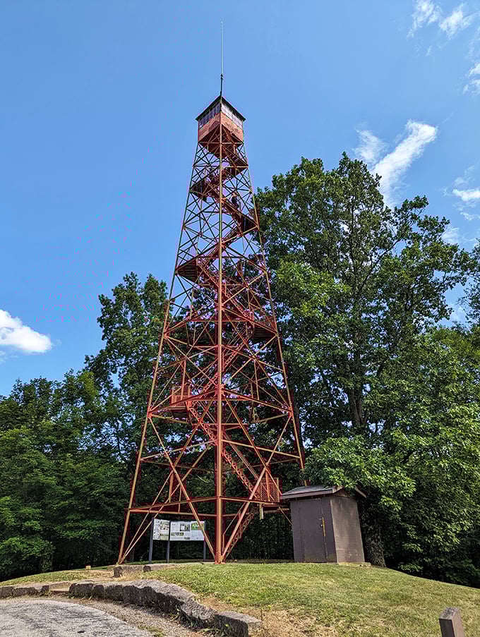 The fire tower reaches skyward like a rusty Eiffel Tower in miniature—climb it for views that'll make your Instagram followers actually jealous for once.
