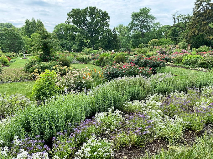 A painter's palette exploded into real life. These perennial borders put your neighbor's "award-winning" garden to delightful shame.