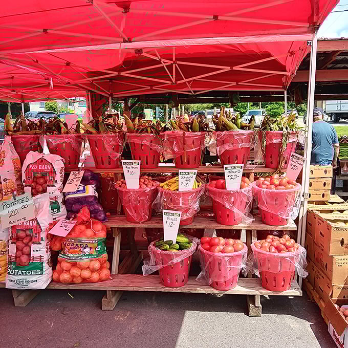 Nature's candy store! These tomatoes didn't travel across three continents to reach you—they probably came from just down the road.