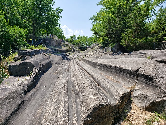 These aren't just scratches in stone—they're 18,000-year-old autographs from massive glaciers that once treated Ohio like their personal art project.