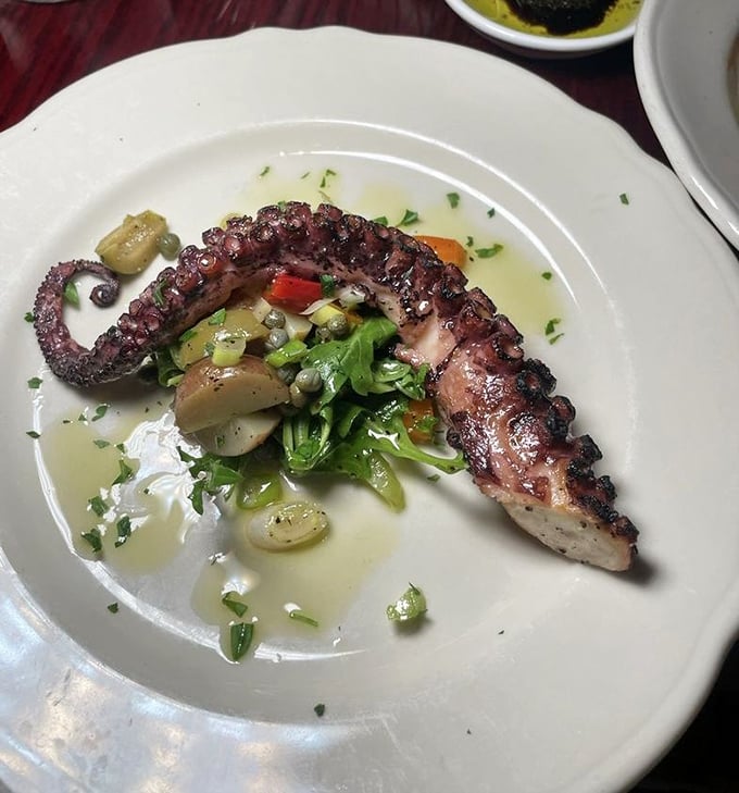 This grilled octopus isn't just tender—it's had more therapy than most Californians. The char marks tell stories of Mediterranean shores.