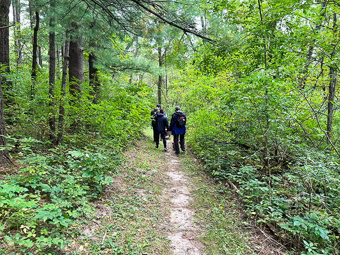 Fellow explorers navigate the trail ahead, proving you're never too old for a good adventure. The best Zoom meeting you'll attend all year.