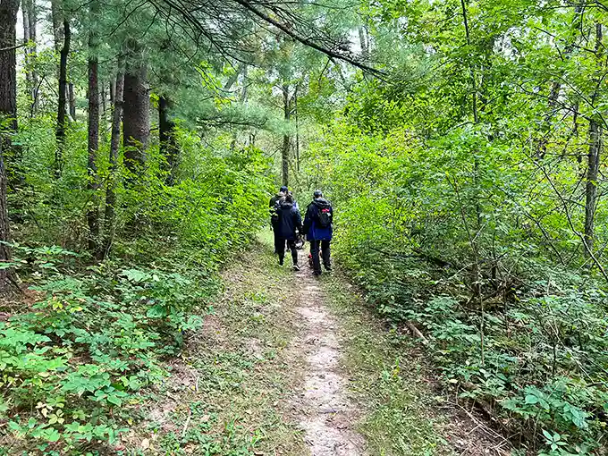 Fellow explorers navigate the trail ahead, proving you're never too old for a good adventure. The best Zoom meeting you'll attend all year.