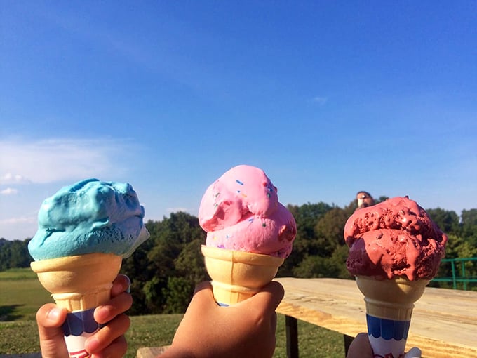 Colorful cones held against the backdrop of Pennsylvania greenery – proof that ice cream tastes better with a view.