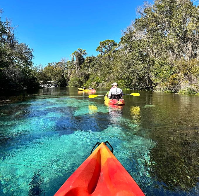 Kayaking through Weeki Wachee's pristine waters—where your paddle barely disturbs the surface and your worries don't stand a chance.