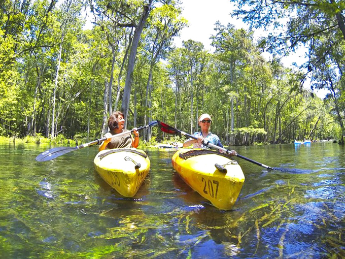 Paddling through this emerald wonderland beats any theme park ride you've ever experienced.