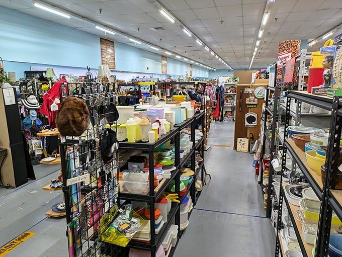Navigate aisles of kitchen treasures where your grandmother's favorite serving spoons mingle with gadgets whose purposes remain delightfully mysterious.