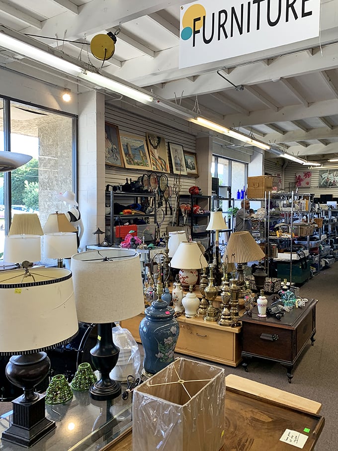 The lamp section glows with possibility—each one a potential statement piece for your living room or the perfect reading companion for lazy Sunday afternoons.