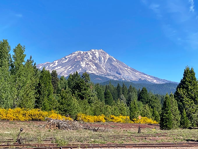 Mount Shasta isn't just a mountain – it's nature's way of showing off what it can do with a little volcanic ambition.