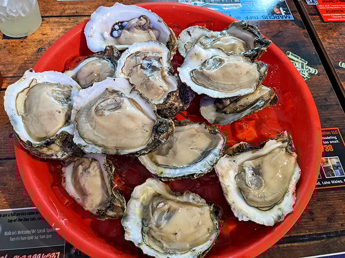 These oysters aren't just served; they're presented—plump, briny jewels nestled in their shells, waiting for a squeeze of lemon and a moment of appreciation.