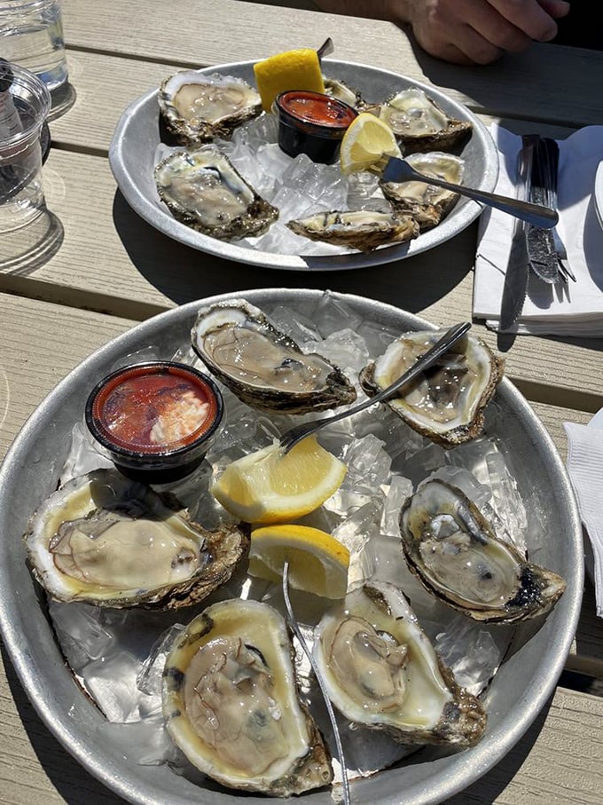 These oysters aren't just served—they're presented like the coastal jewels they are, with nature's perfect packaging and the ocean's purest flavor.