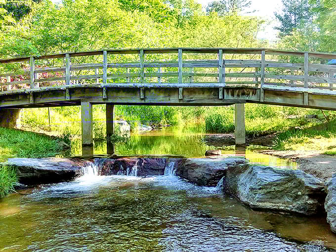 A gentle stream flows beneath a rustic wooden bridge, creating the kind of scene that makes smartphone photographers suddenly fancy themselves Ansel Adams.