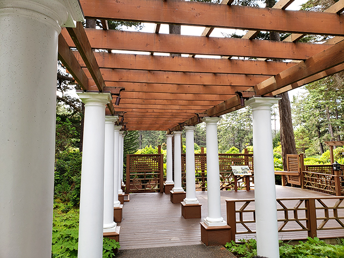 This elegant pergola isn't just Instagram-worthy—it's a time machine to an era when leisure was an art form.