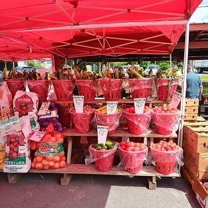 Farm-fresh produce arranged in cheerful red baskets – tomatoes so vibrant they make stoplight jealous and corn still remembering its field days.