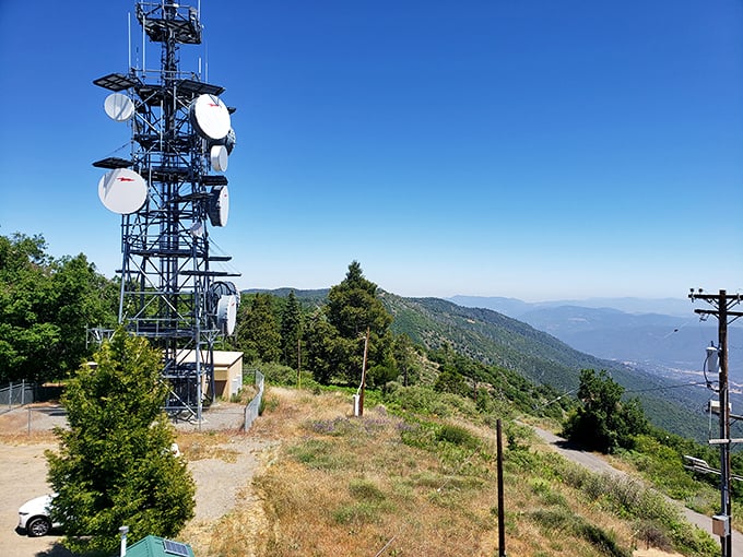 This communications tower might interrupt the wilderness aesthetic, but the views it commands would make even your most jaded teenager look up from their phone.