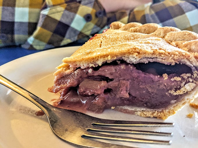 Behold the legendary rhubarb pie—that perfect marriage of tart and sweet where each forkful tells the story of Minnesota summers in a single bite.