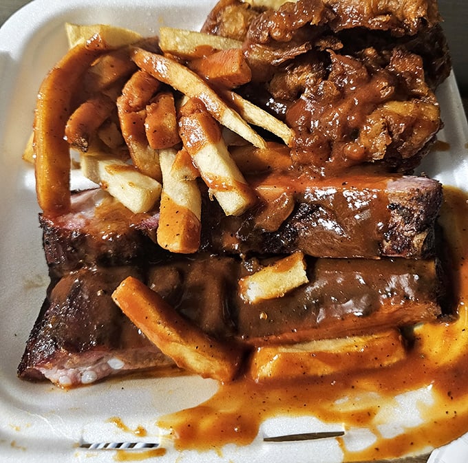 Ribs and fries swimming in that signature sauce—a sight so beautiful it should be hanging in Cleveland's Museum of Art.