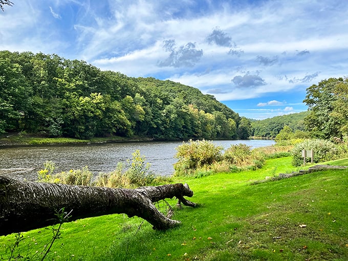 The Clarion River curves through the landscape like it's auditioning for a role in a Hemingway novel. Spoiler alert: it got the part.