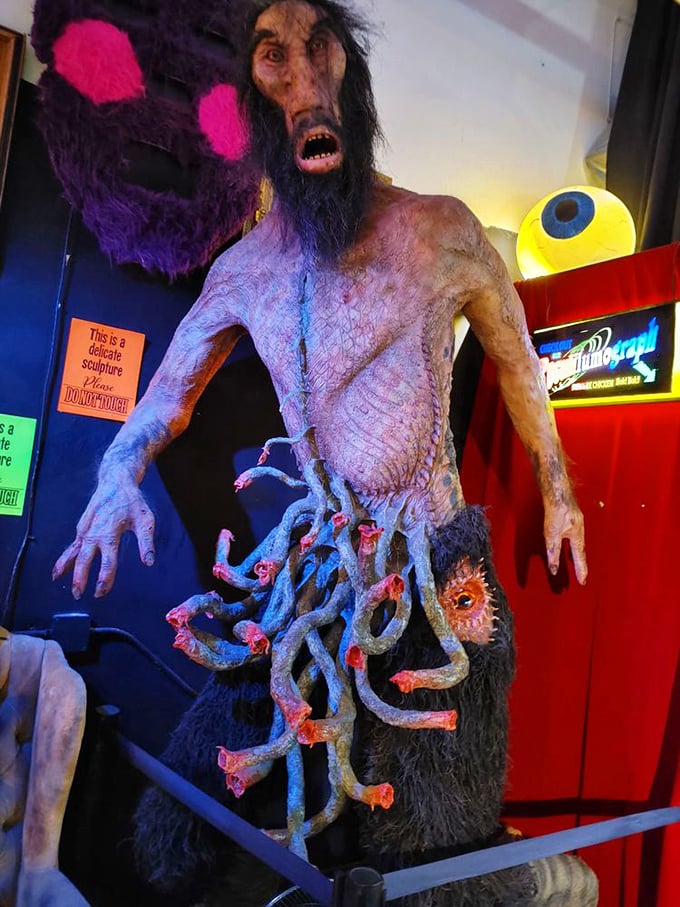 This creature appears to have had a particularly rough morning. The tentacles suggest coffee hasn't kicked in yet.