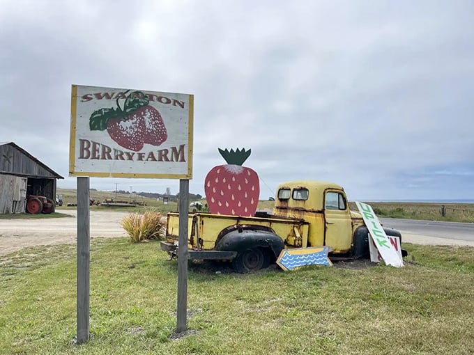 Vintage charm at its finest. That weathered yellow truck with the strawberry topper is the farm's unofficial mascot—no agent, no Instagram, just authentic appeal.