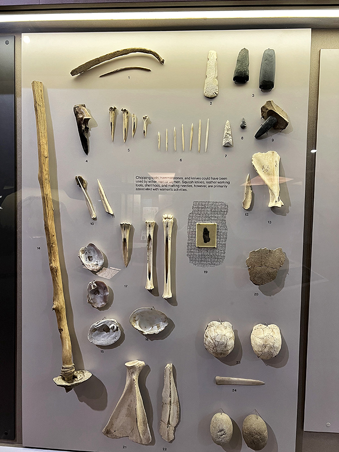 Tools of ancient innovation—bone, stone, and wood transformed into survival essentials. The original DIY movement, centuries before YouTube tutorials existed.