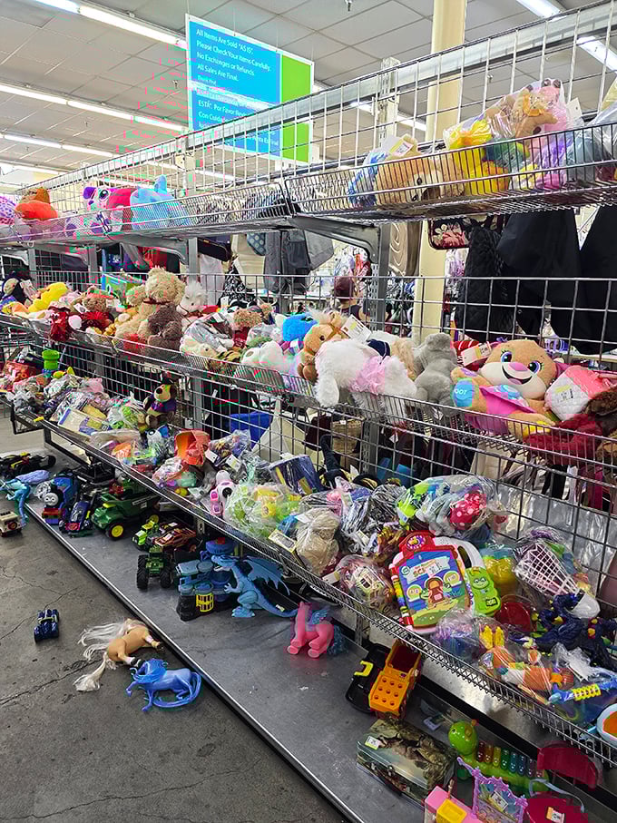 A wonderland of abandoned toys waiting for their second act in someone's playroom.