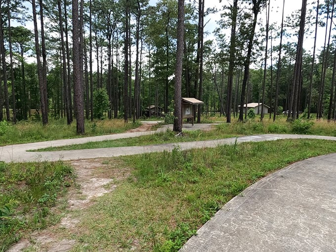 Paths that lead to everywhere and nowhere simultaneously – the Florida Panhandle's version of a choose-your-own-adventure book.
