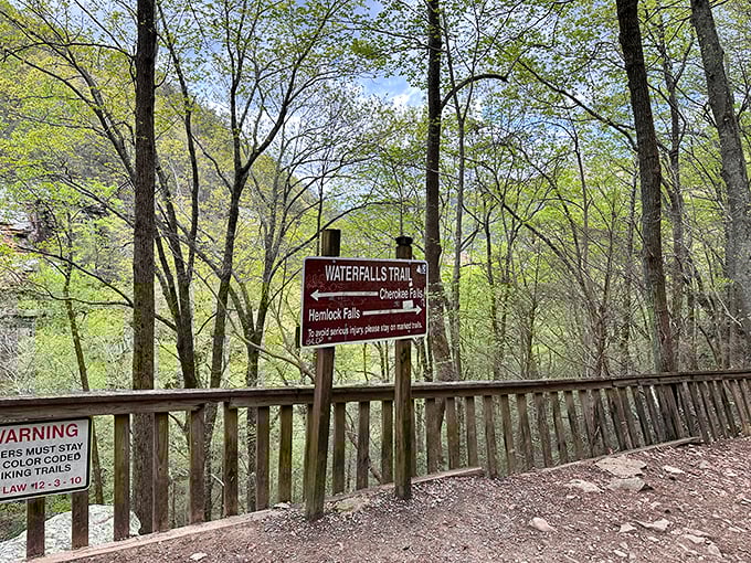 Trail markers here don't just point directions—they promise adventures that'll make your Instagram followers seriously jealous.