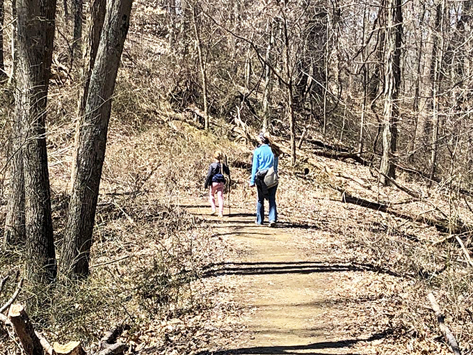Some trails whisper stories of generations past. This one seems to say, "Take it slow – the best views aren't always at the destination."
