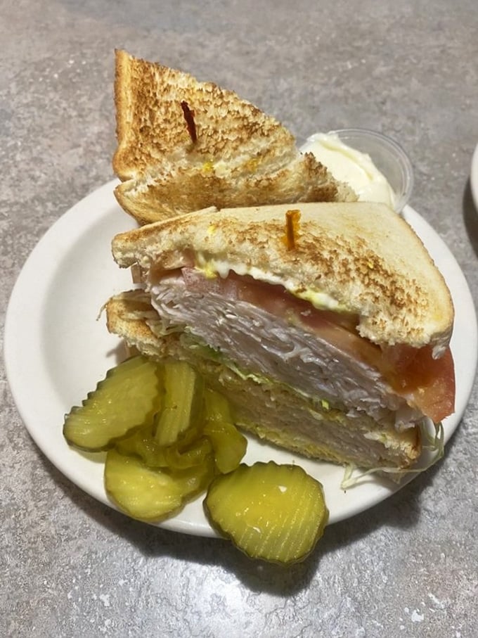 This turkey club isn't just a sandwich—it's architecture. Three perfectly toasted stories of satisfaction with pickle sentinels standing guard.