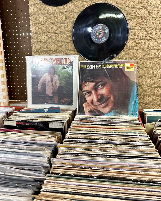 Vinyl heaven isn't a myth—it's right here in Riverside. These records aren't just music; they're time capsules of emotions waiting to spin again.