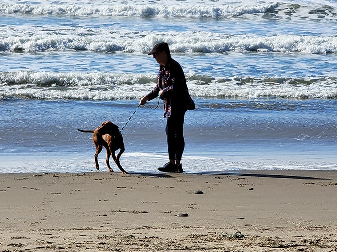 That refreshing Oregon breeze carries salt air and the promise of adventure to every lucky visitor.