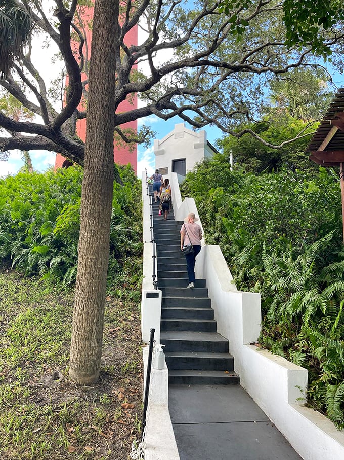 The white stairway to heaven—or at least to one of Florida's most spectacular views. Your quads might complain, but your eyes will thank you.