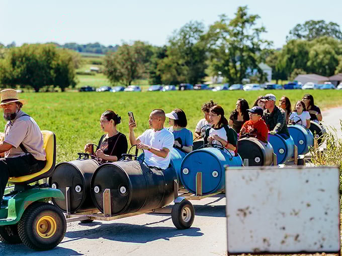 Visitors enjoy a tractor-pulled barrel train ride through fields where smartphones seem suddenly irrelevant.