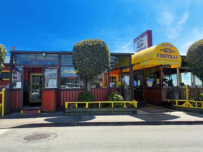 Those colorful food trucks lined up like a rainbow promise flavors as bright as their paint jobs.